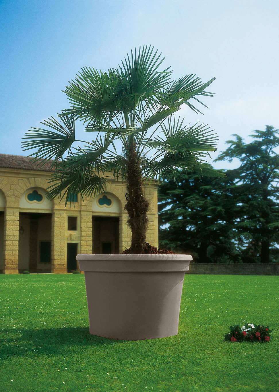 gros pot pour arbuste